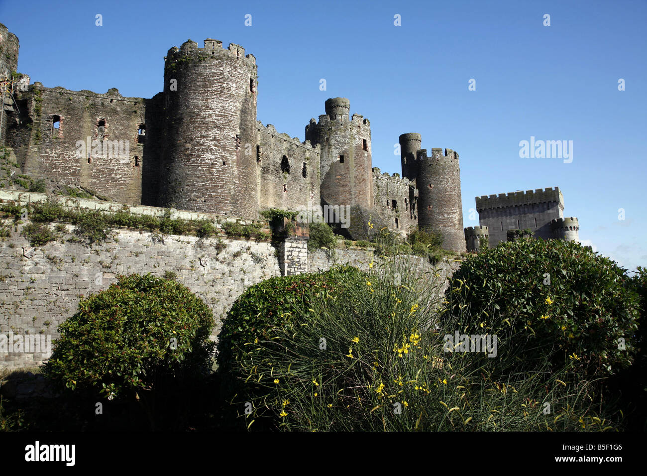 Massive Conwy Castle, built by King Edward 1st, at defensive point ...