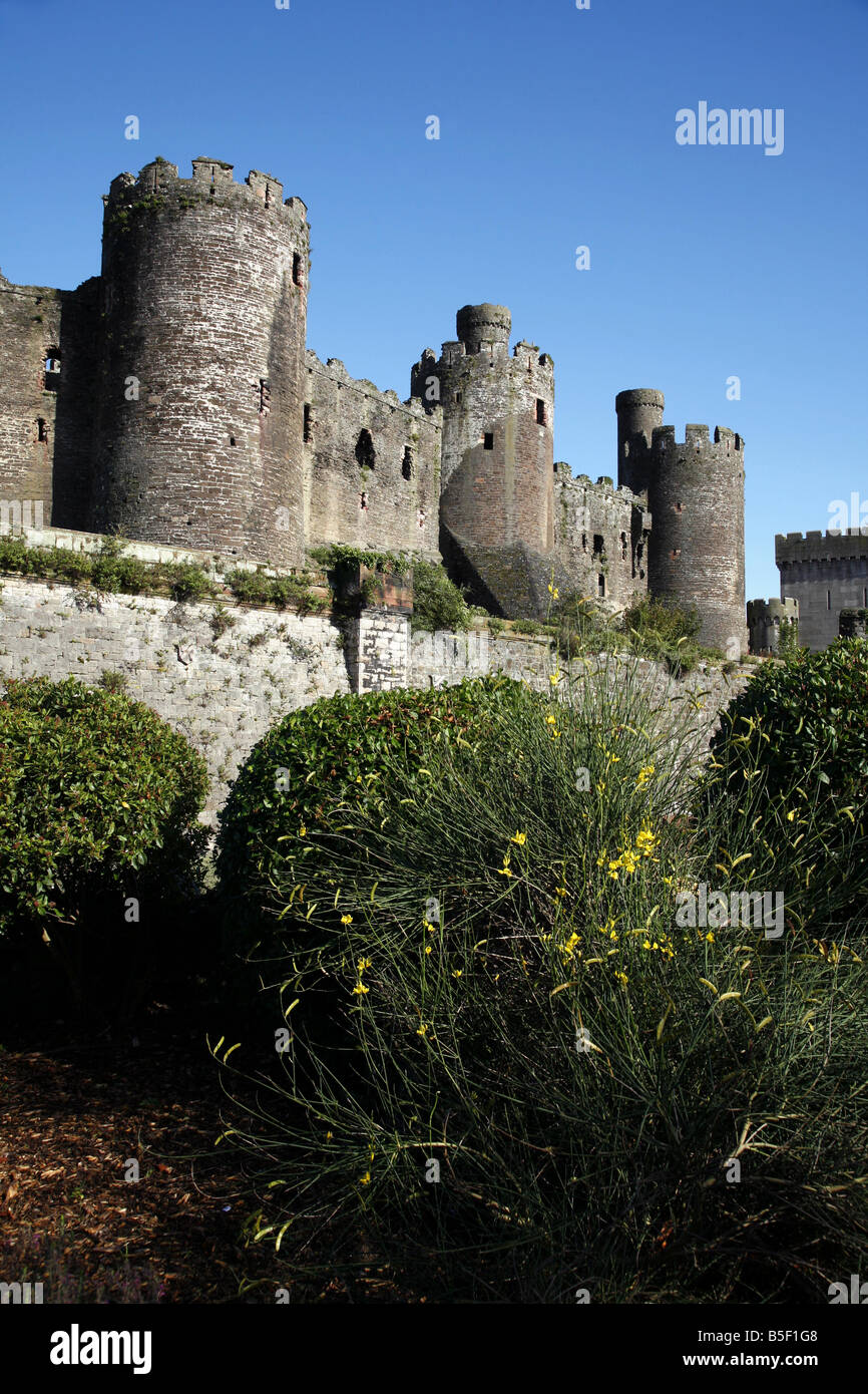 Massive Conwy Castle, built by King Edward 1st, at defensive point ...