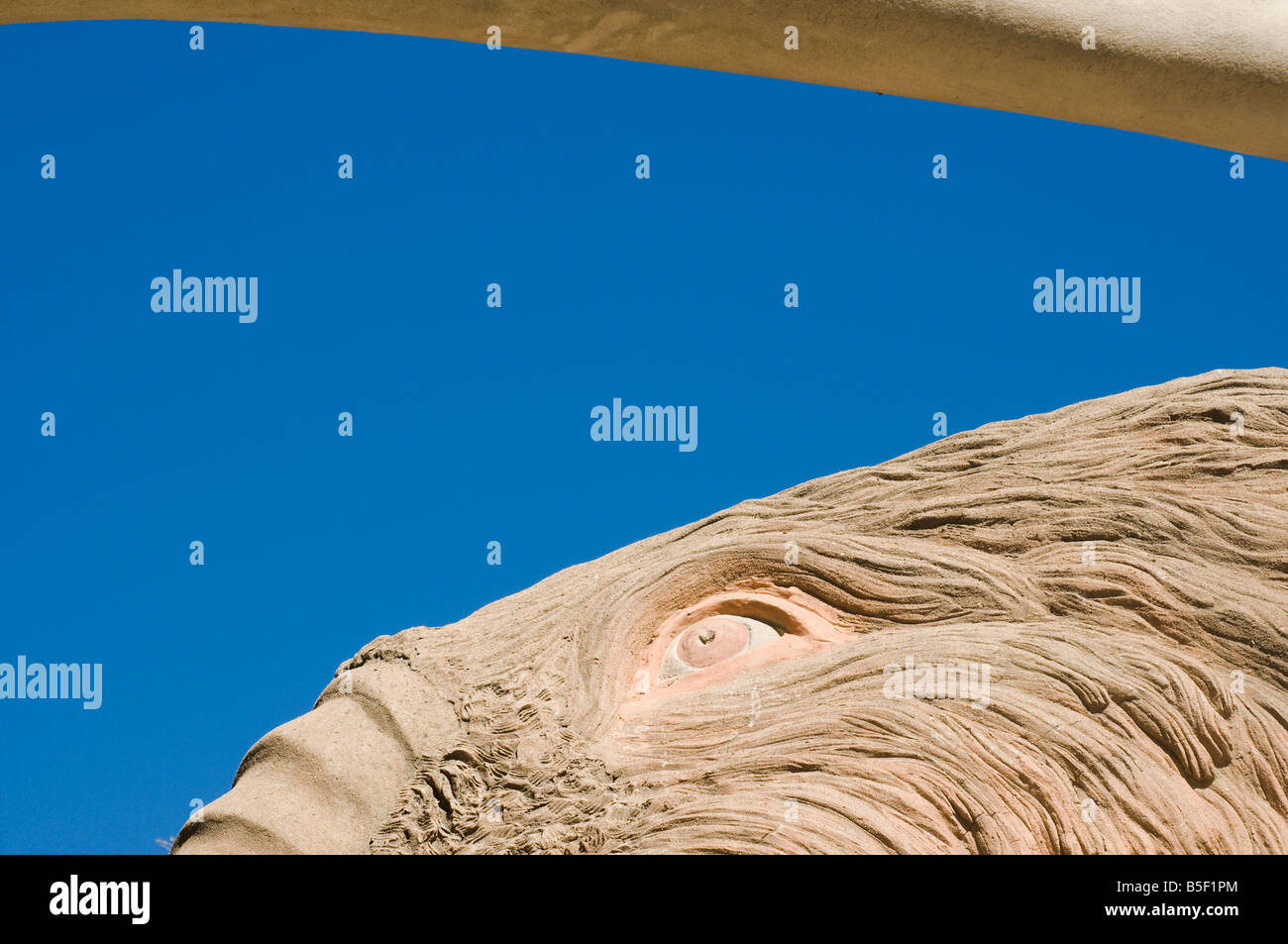 Elephant teeth hi-res stock photography and images - Alamy