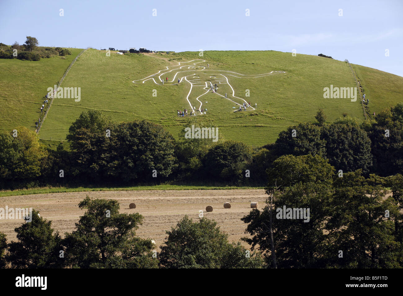 The Cerne Giant, situated on a hill above the Dorset village of Cerne ...