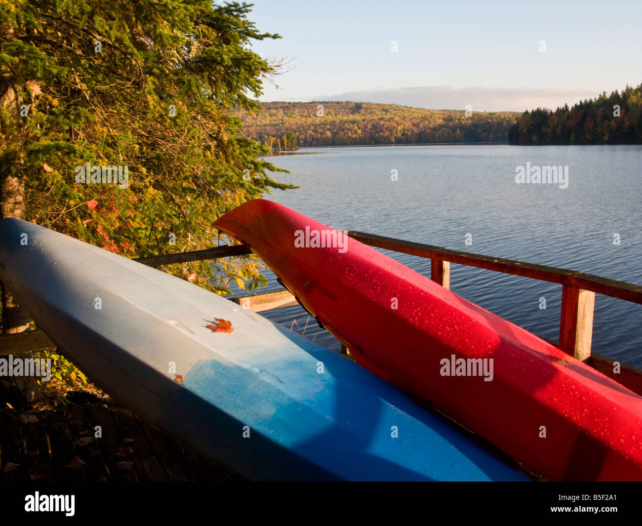 Red and Blue kayak on a dock in Canadian cottage country with fall ...