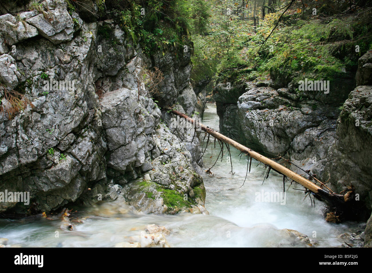 Wild Gorge in "Slovensky Raj" National Park Stock Photo - Alamy