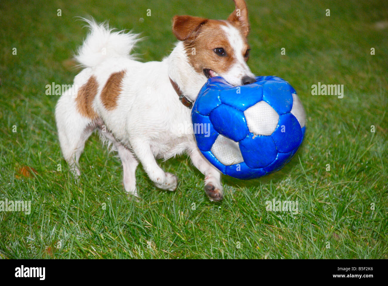 Popped football hi-res stock photography and images - Alamy