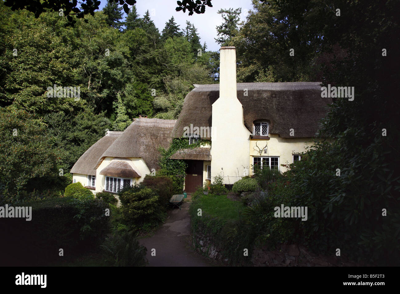 Cottages in the picturesque thatched village of Selworthy, which is ...