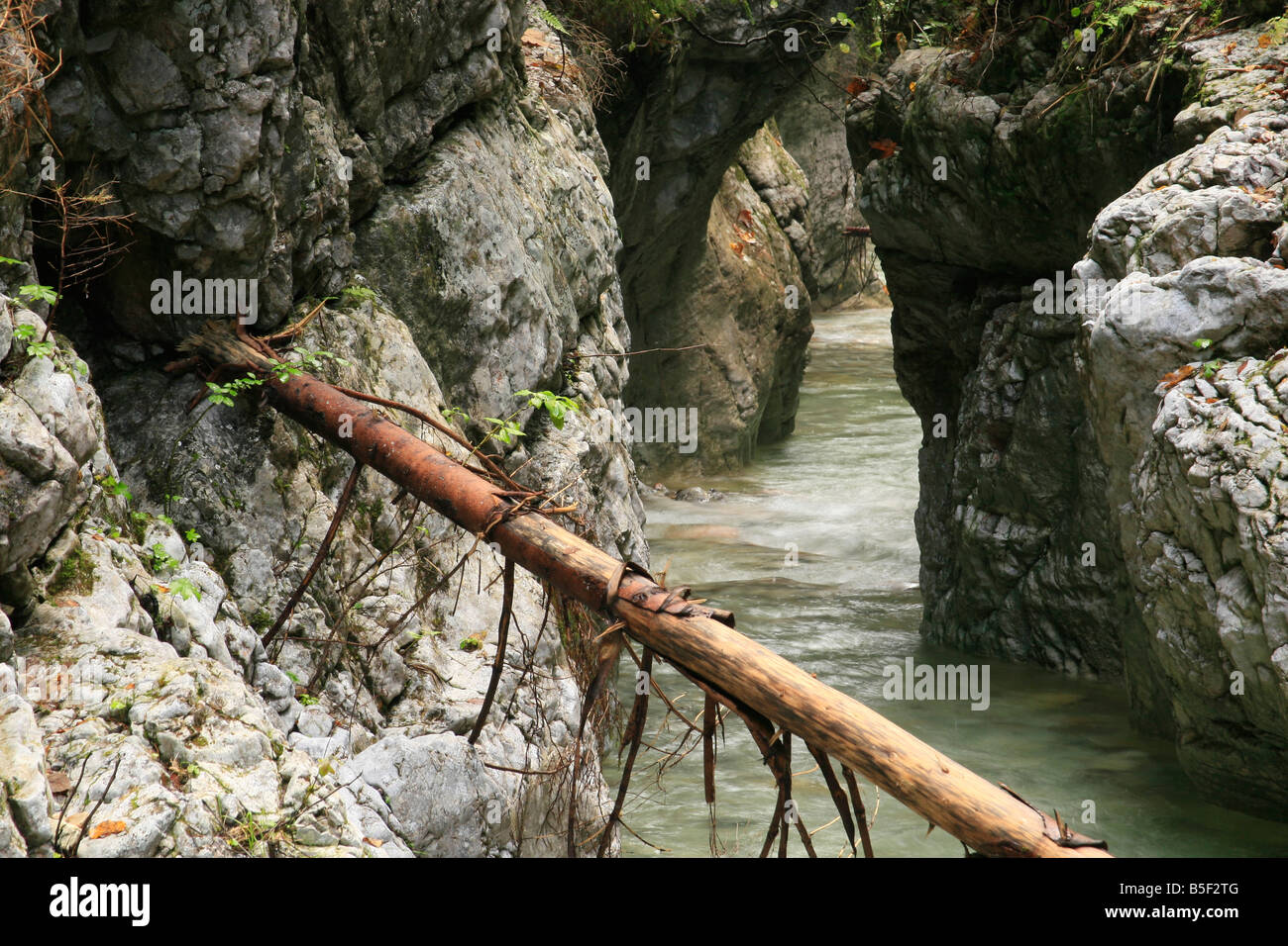Slovak 'paradise national park' hi-res stock photography and images - Alamy