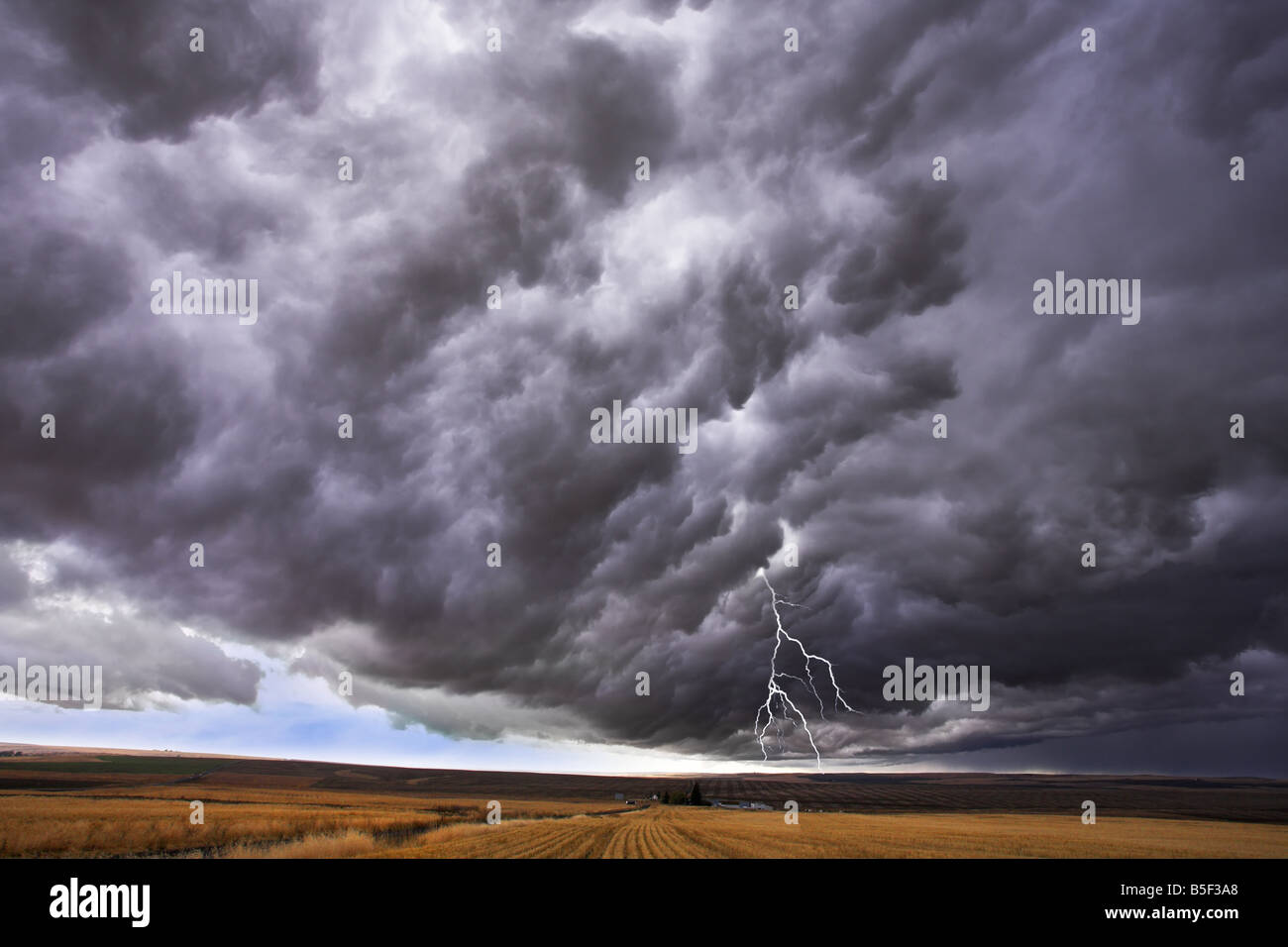 The thundercloud and lightning above boundless plain in state of Idaho ...