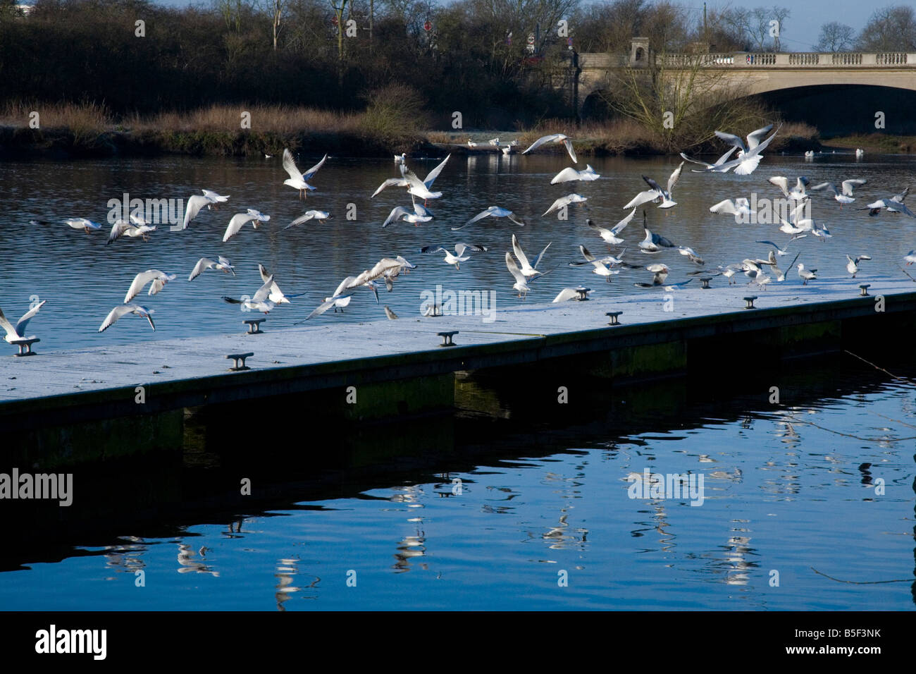Gunthorpe nottinghamshire hi-res stock photography and images - Alamy