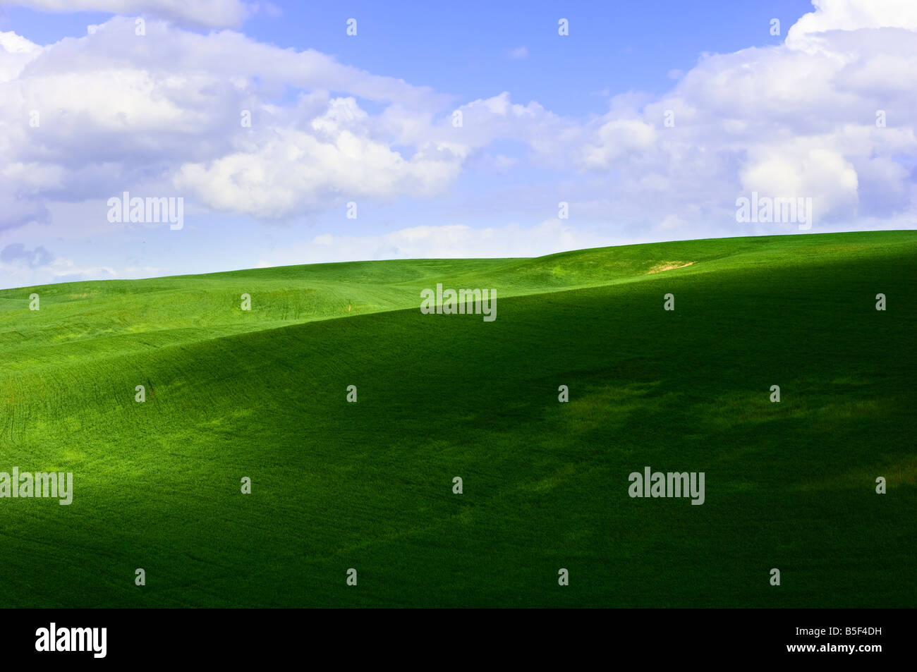 Green grass along the palouse, southeastern washington, USA Stock Photo ...