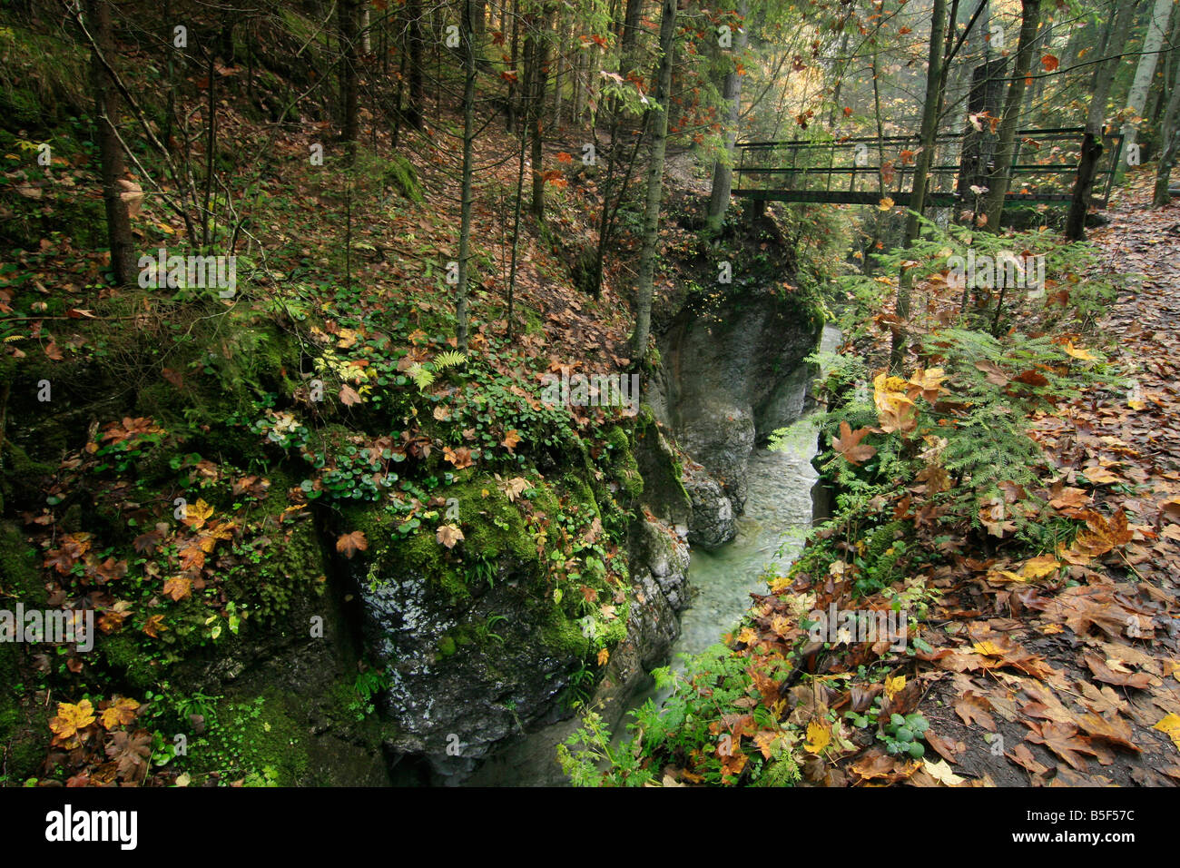 Slovakia paradise national park hi-res stock photography and images - Alamy