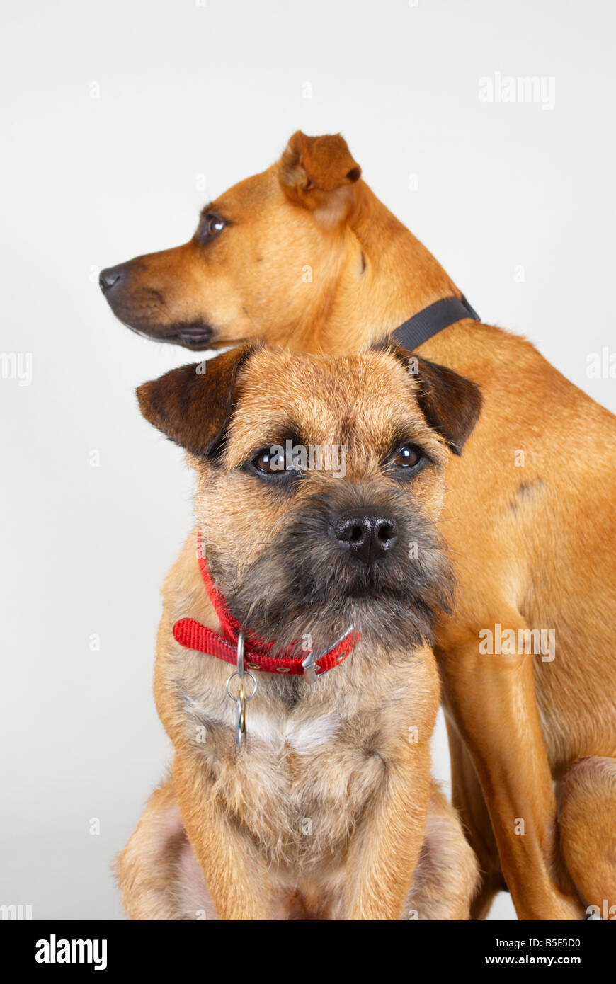 Toy game harry hi-res stock photography and images - Alamy