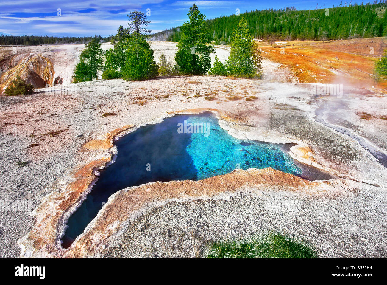 The most beautiful hot spring in Yellowstone park The Blue star spring ...