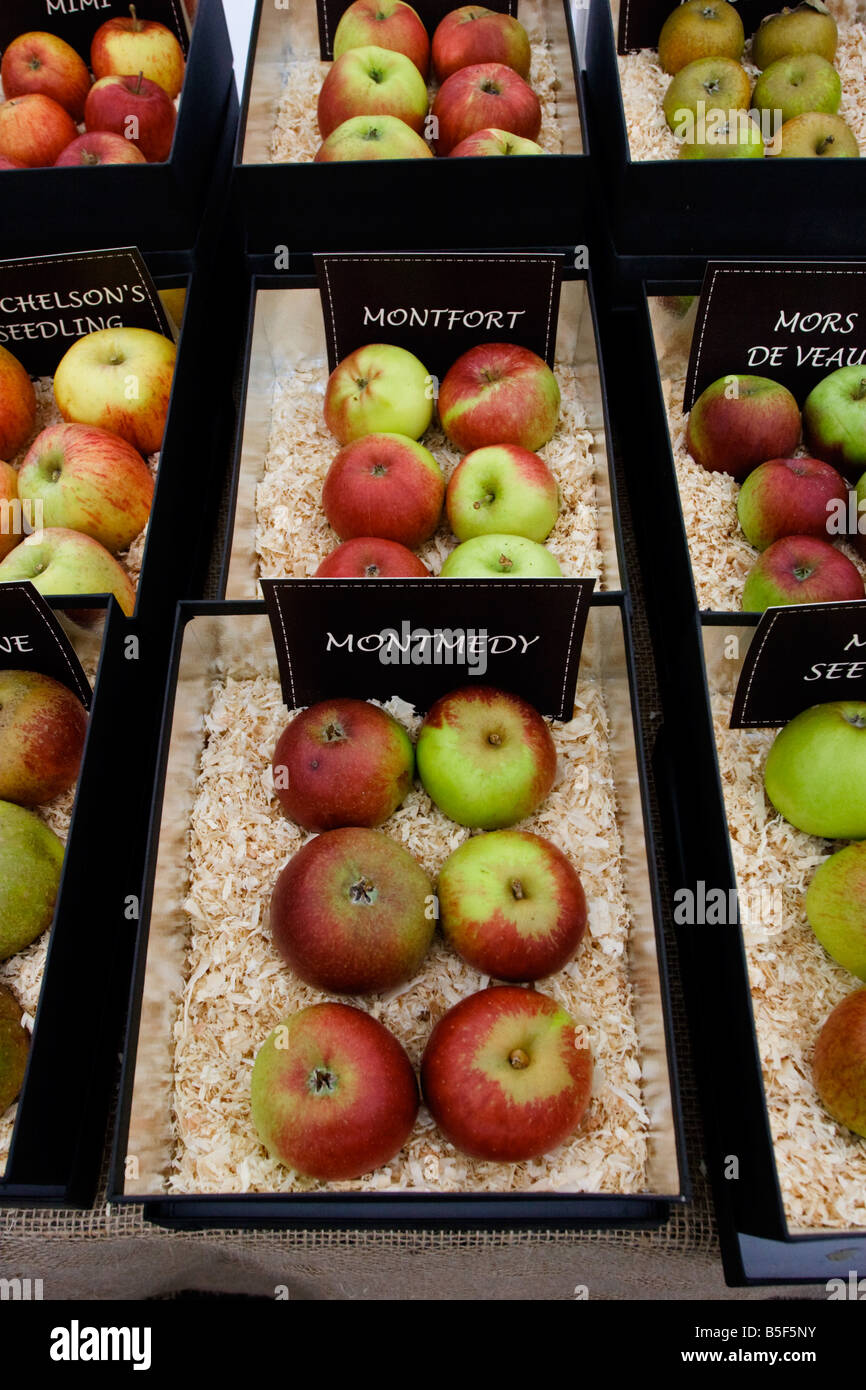 Apple varieties hi-res stock photography and images - Alamy