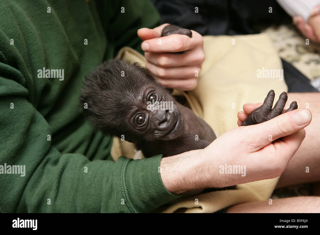 Tia keeper phil ridges pix hi-res stock photography and images - Alamy