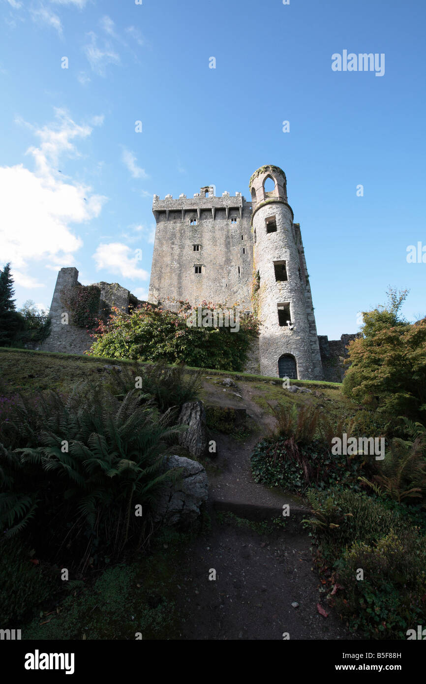 Kiss the blarney stone hi-res stock photography and images - Alamy