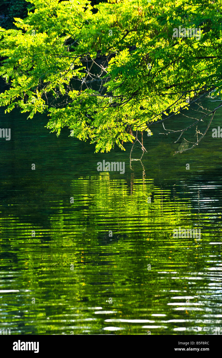 Pond river calm calmness surface of water hi-res stock photography and ...