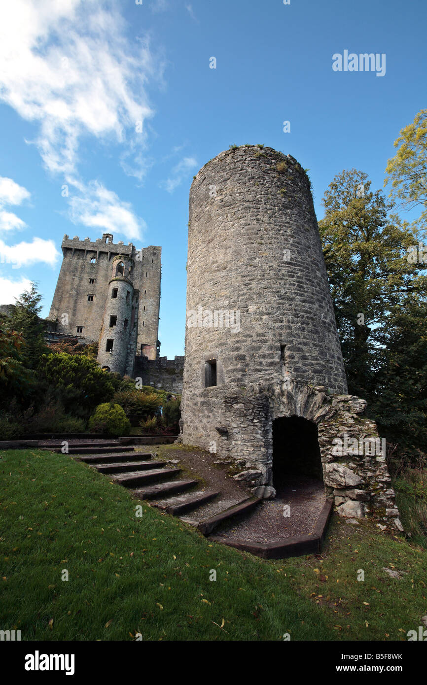 The blarney stone hi-res stock photography and images - Alamy