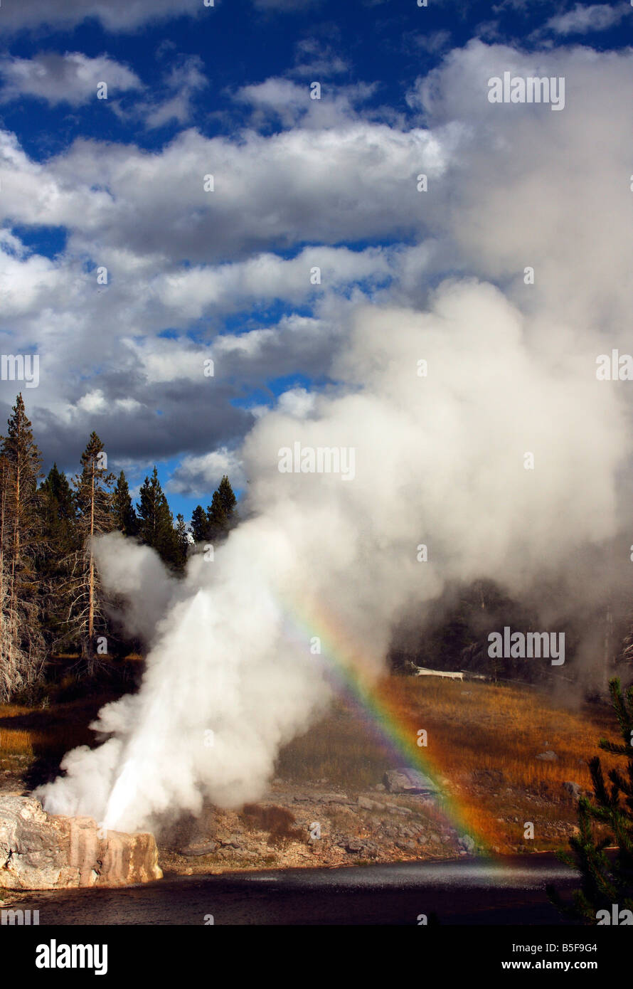 Yellowstone national park geyser eruption with a rainbow, vertical ...