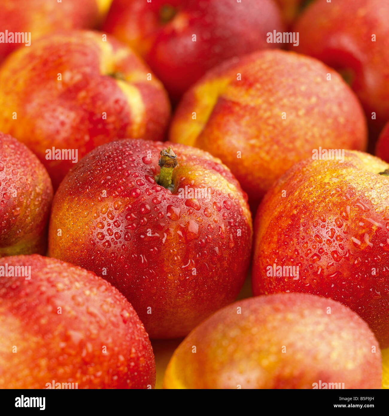 Whole Nectarines High Resolution Stock Photography and Images - Alamy