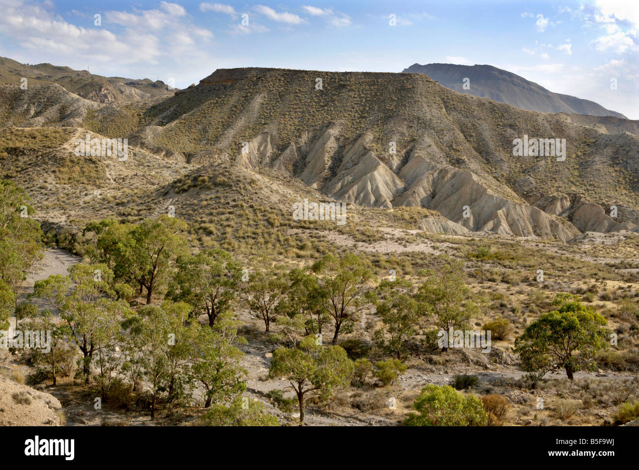The desert landscape of Tabernas, Andalucia, Spain Stock Photo - Alamy