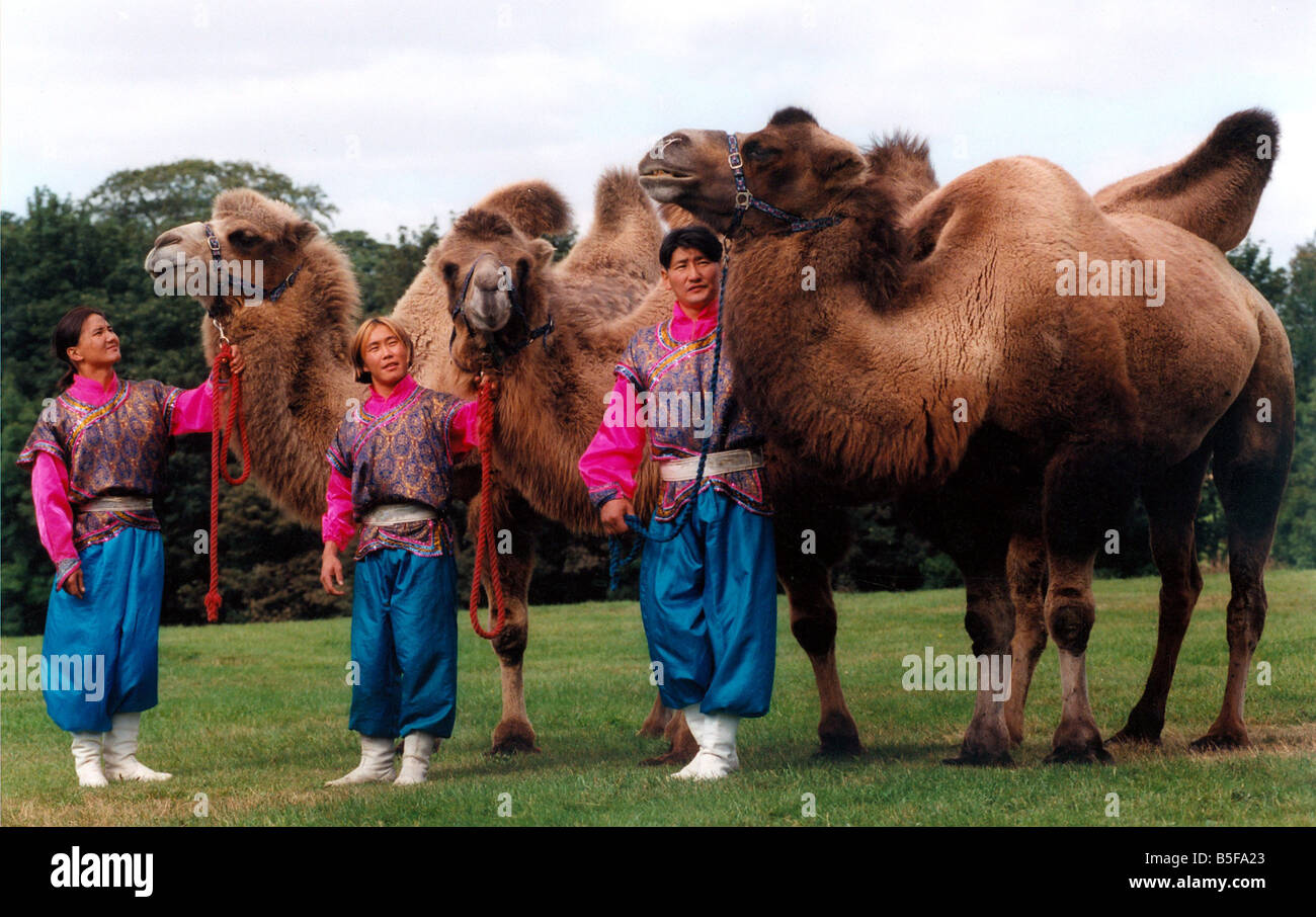 Harlequin Circus performers Left to right Tugs Dave and Zula with ...