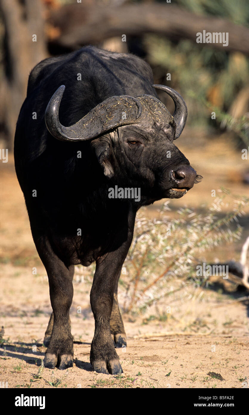 Kavango people hi-res stock photography and images - Alamy