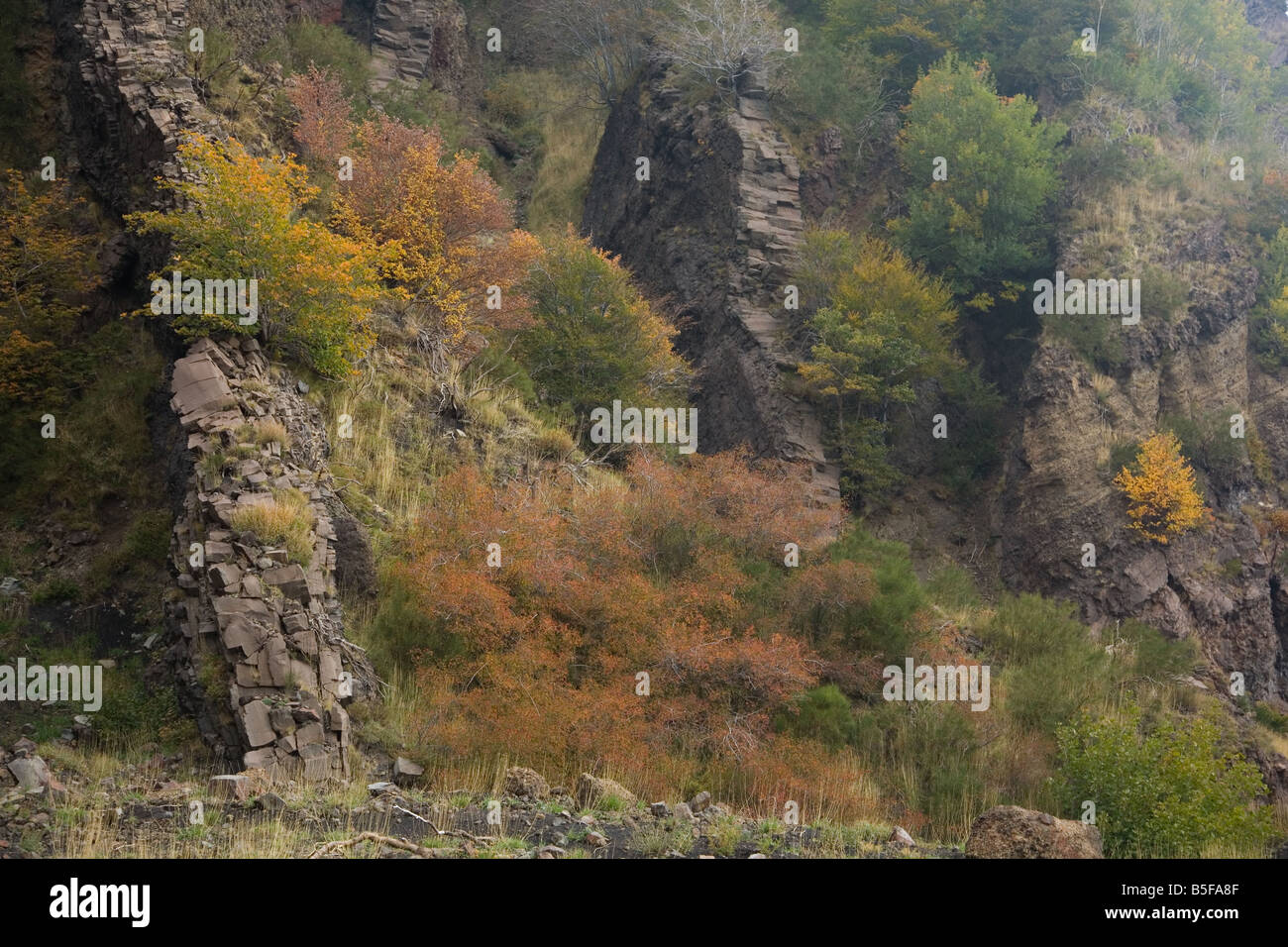 Bizarre vertical volcanic dikes inside Valle del Bove, Mt. Etna volcano ...