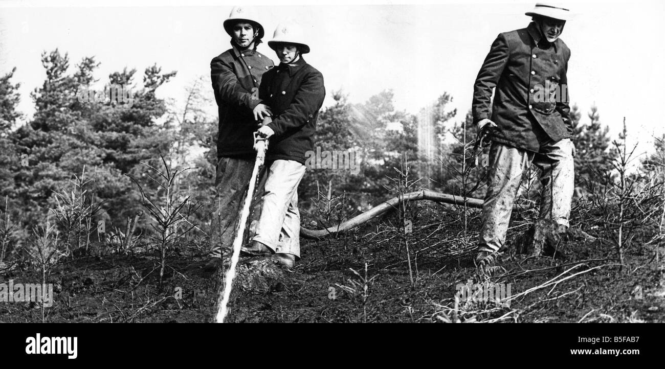 Firefighters tackle blaze forest fire at Milkwellburn Wood Hamsterly ...