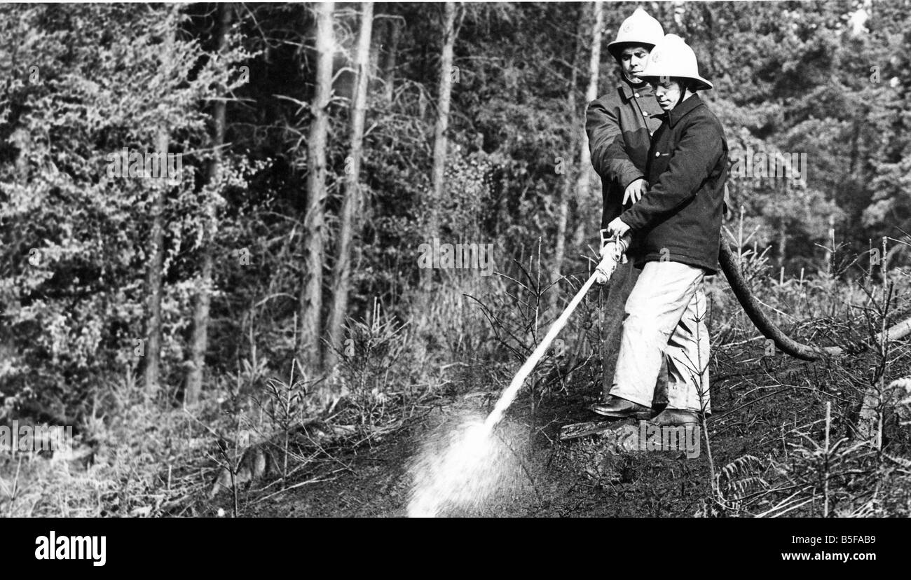 Firefighters tackle blaze forest fire at Milkwellburn Wood Hamsterly ...