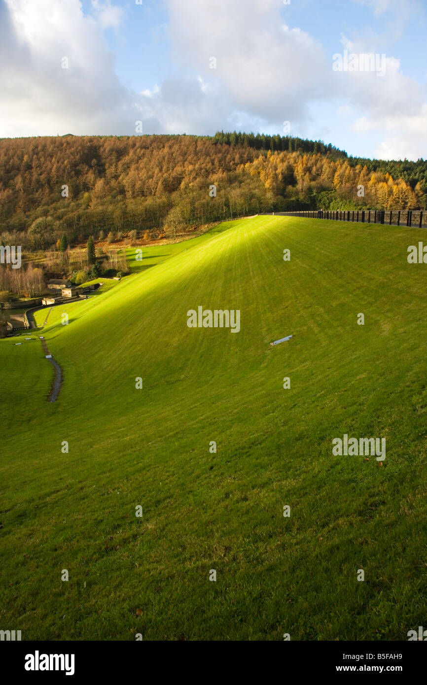 Ladybower wood hi-res stock photography and images - Alamy