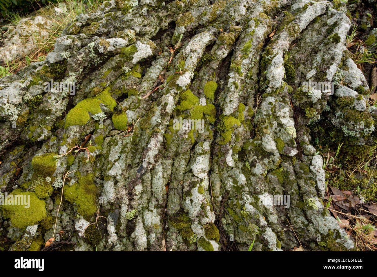 Old lava flow mount hi-res stock photography and images - Alamy