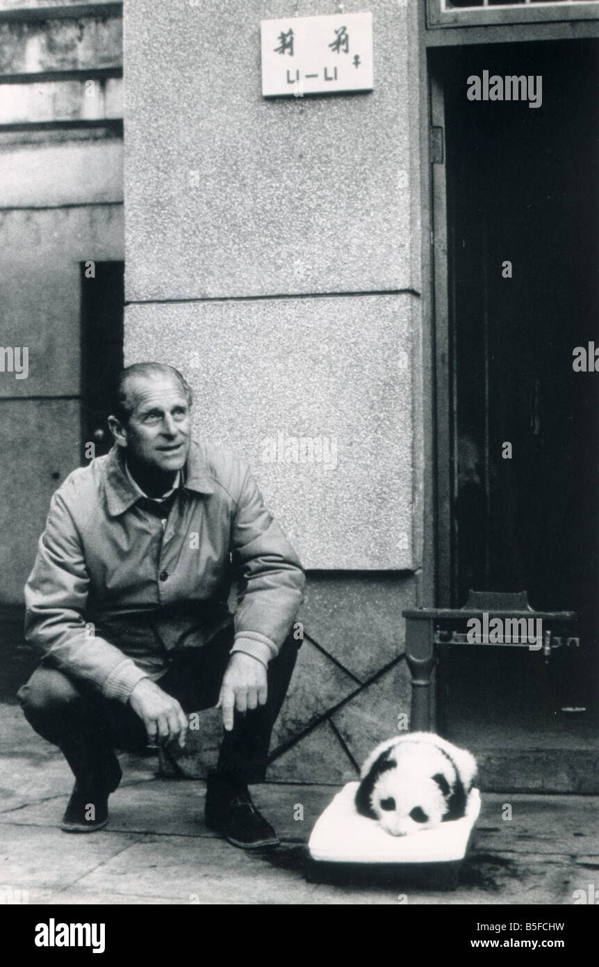 Prince Philip Duke of Edinburgh seen here with panda cub Li Li during ...