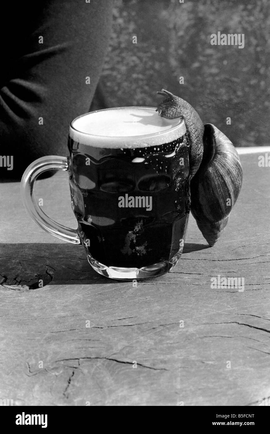 70 8492 002 hi-res stock photography and images - Alamy