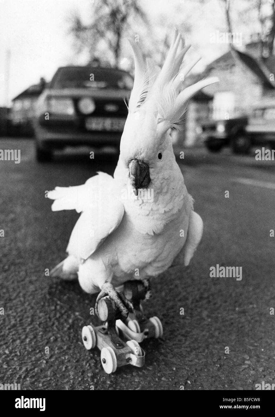 P014618 hi-res stock photography and images - Alamy