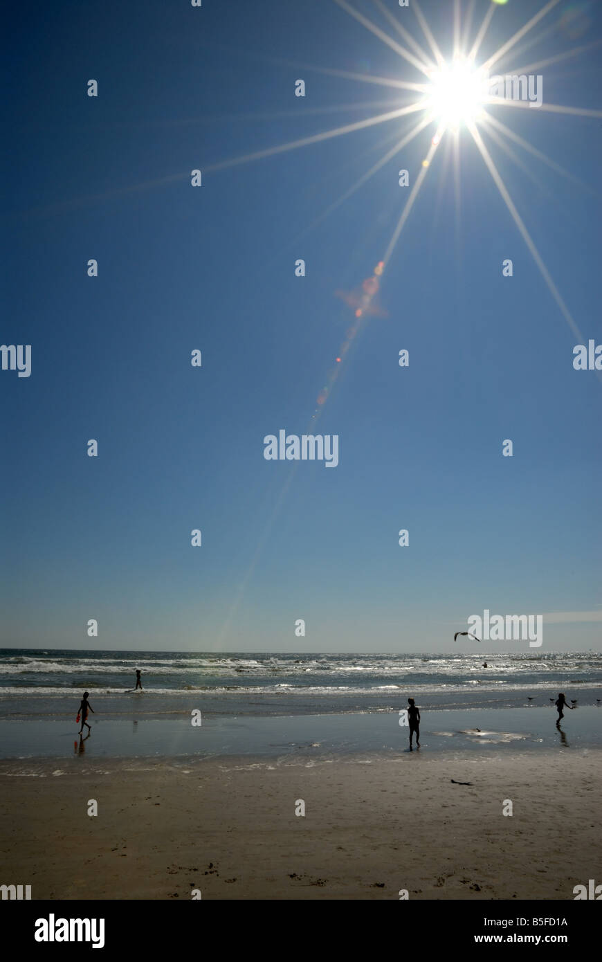 Sunny day on the beach Stock Photo - Alamy