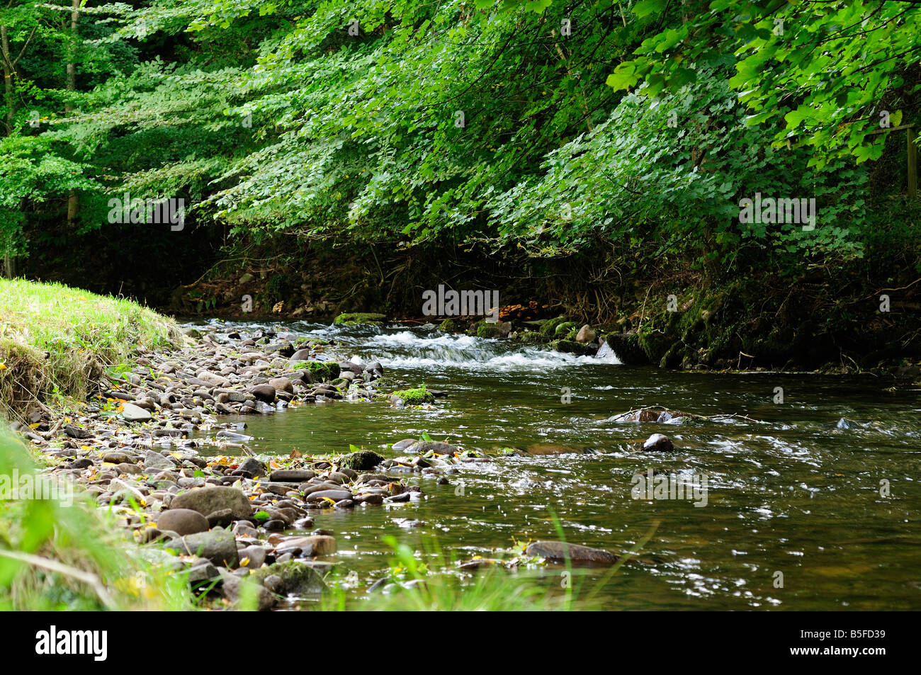 Welsh fishing hi-res stock photography and images - Alamy