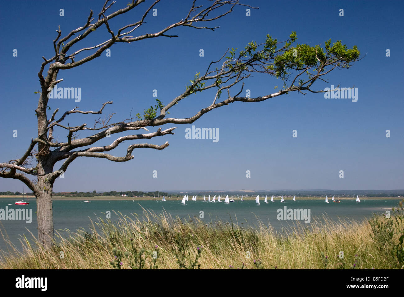 Itchenor hi-res stock photography and images - Alamy
