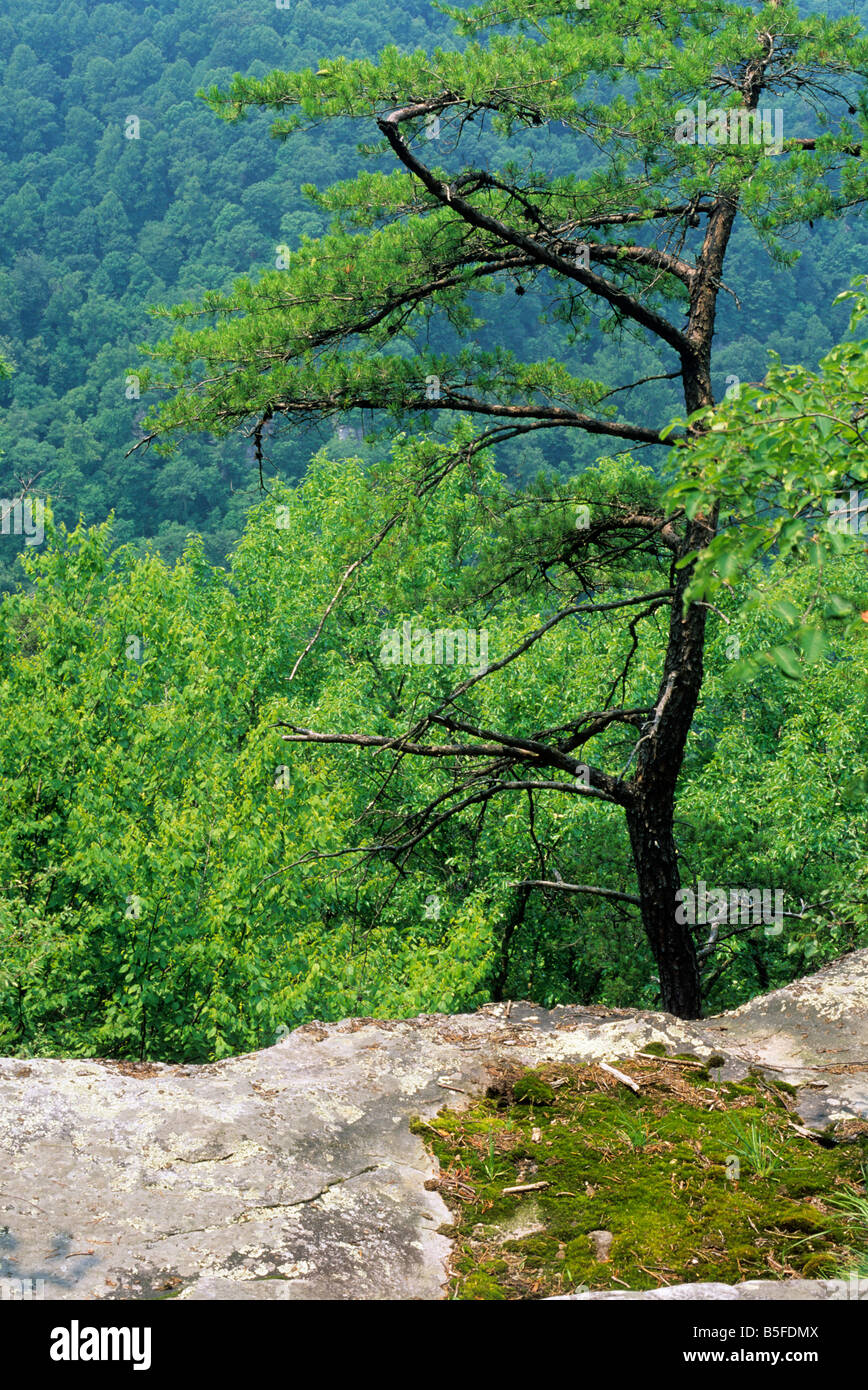 Breaks interstate park hi-res stock photography and images - Alamy
