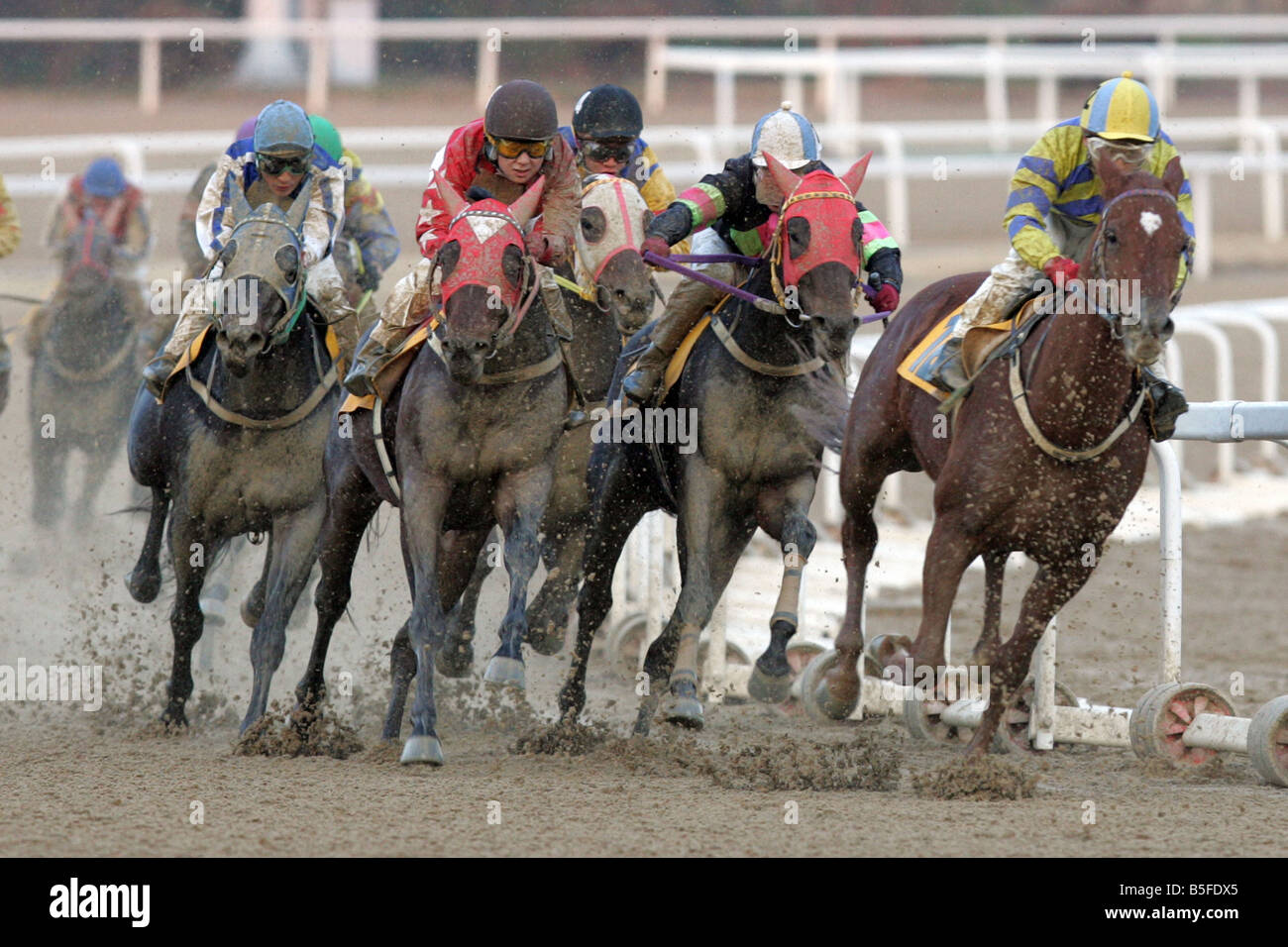 Jockeys on galloping horses at a horse race, Seoul, South Korea Stock ...