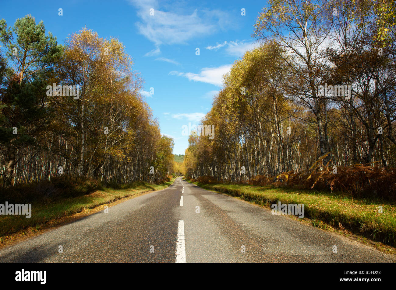 Scottish road hi-res stock photography and images - Alamy