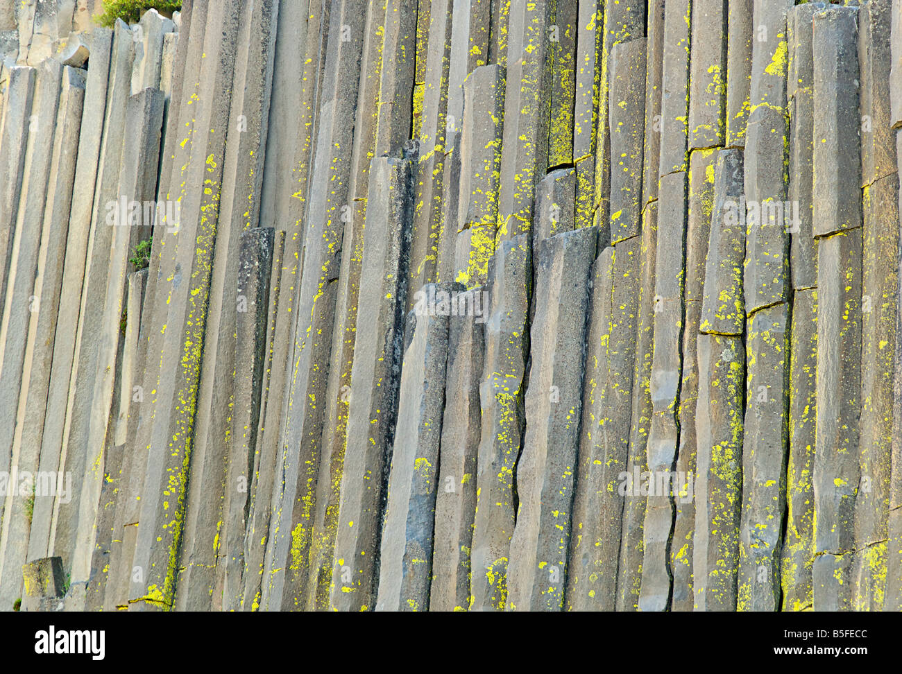 Basalt columns devils postpile national hi-res stock photography and ...