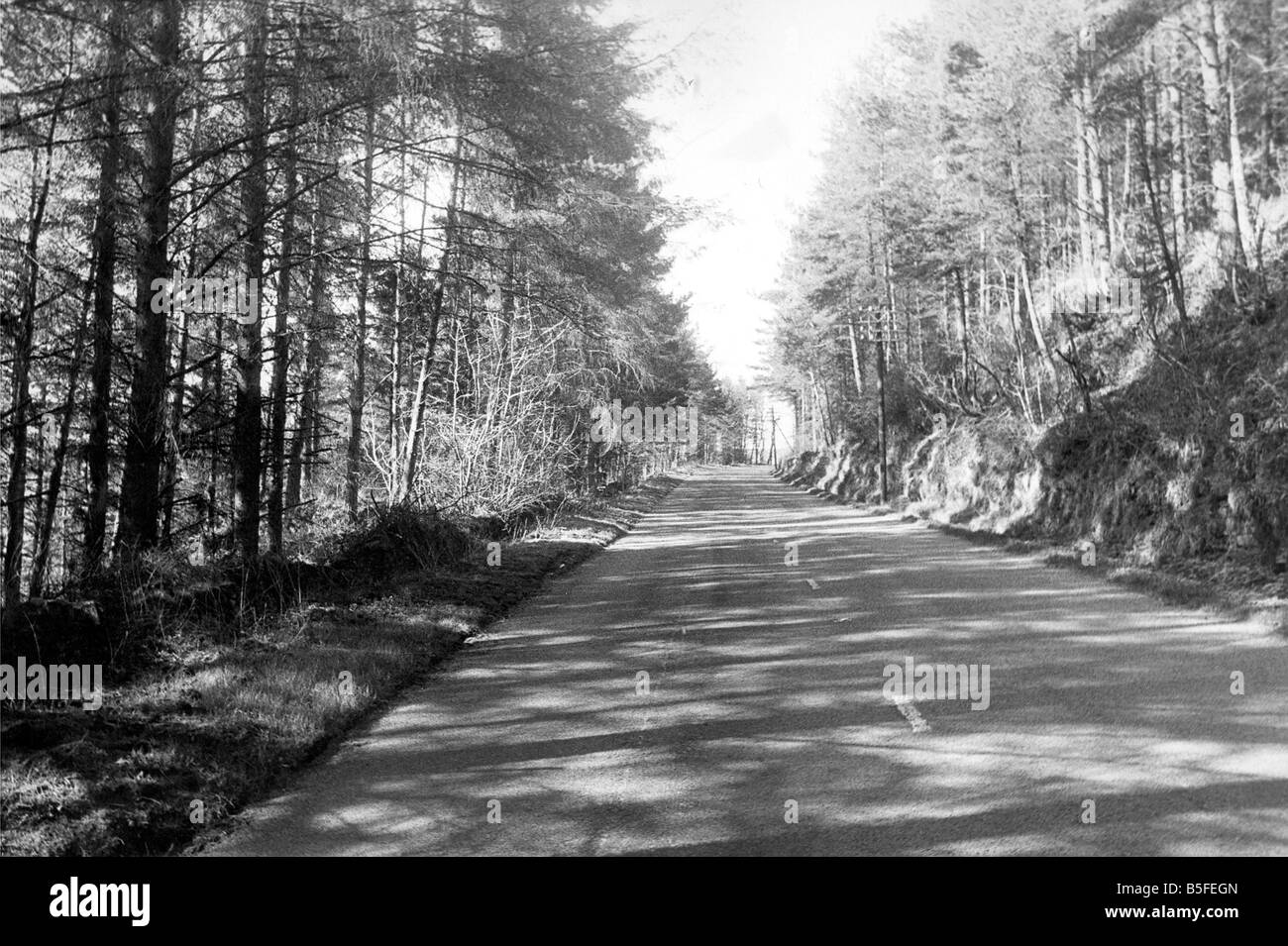 A typical British empty country lane Stock Photo - Alamy