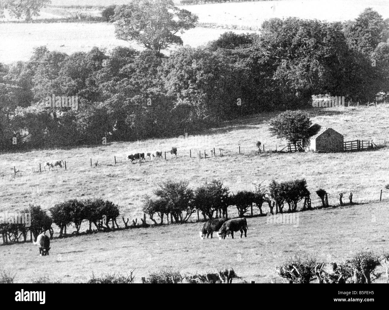 A typical British countryside scene Stock Photo - Alamy