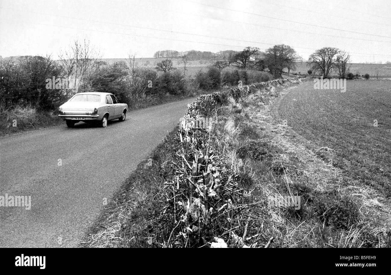 A typical scene of a British country lane Stock Photo - Alamy