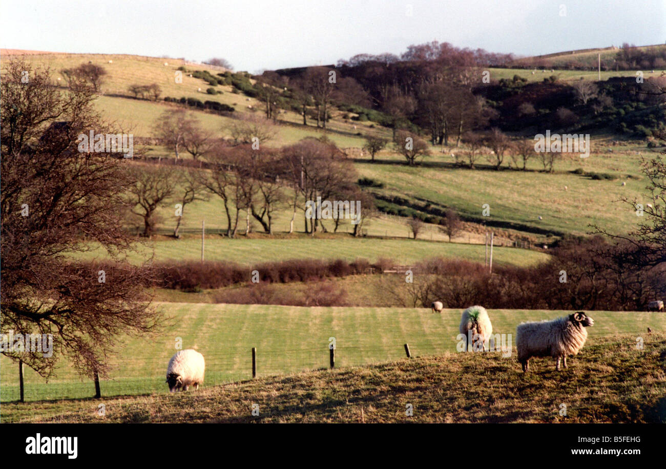 A typical British farming scene Stock Photo - Alamy