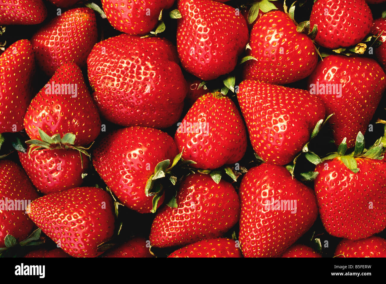 Farmers market usa strawberries hi-res stock photography and images - Alamy