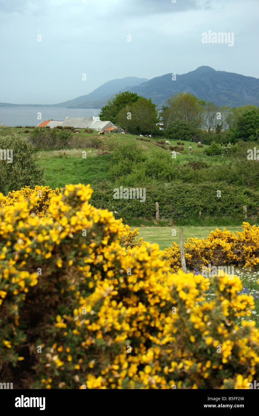Donegal landscape hi-res stock photography and images - Alamy