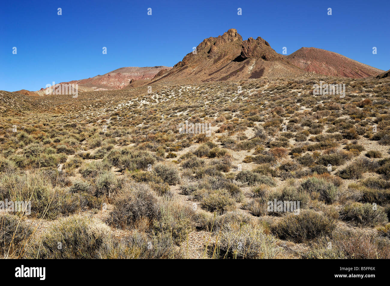Titus Canyon, Death Valley Stock Photo - Alamy