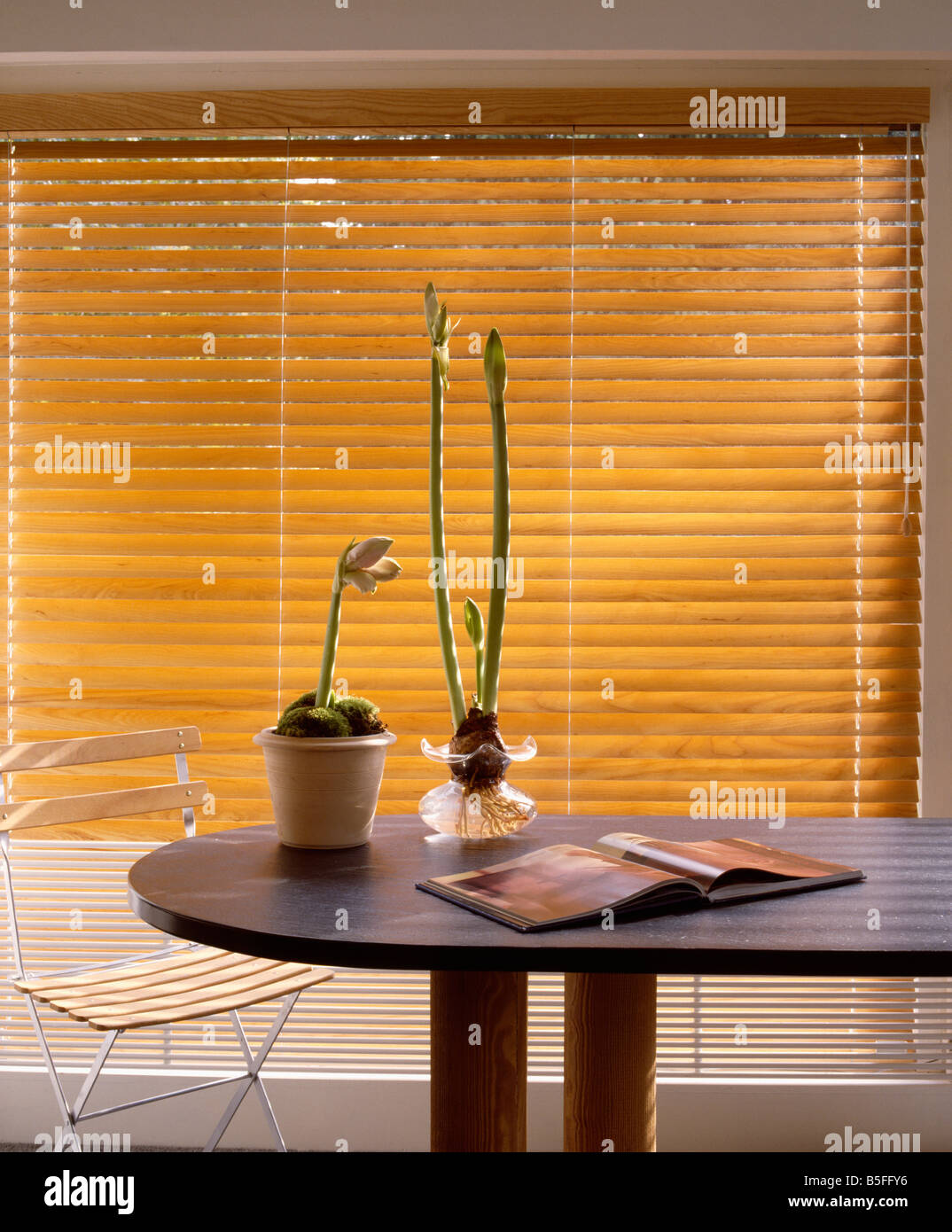 Houseplants on oval table in front of window with slatted blind in ...