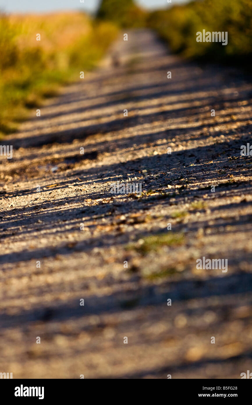 path with warm shadows from the evening sun short dof Stock Photo - Alamy