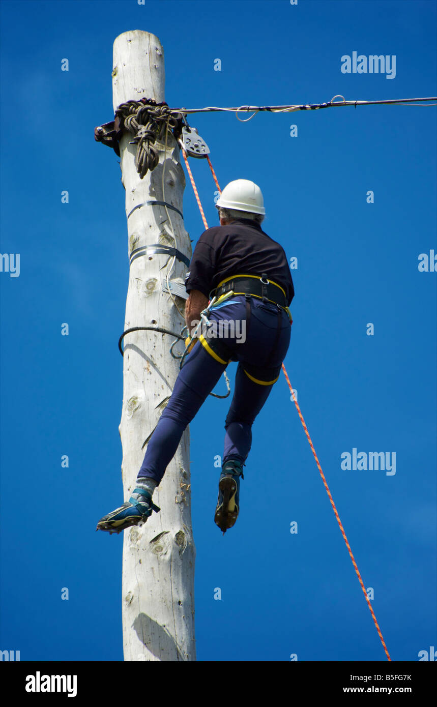 Pole tree trunk rope sport climbing safety helmet harness hi-res stock ...